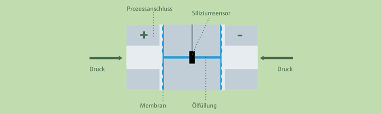 Differenzdruckaufnehmer und Silizium-Drucksensoren | Endress+Hauser - Customized Pressure ...